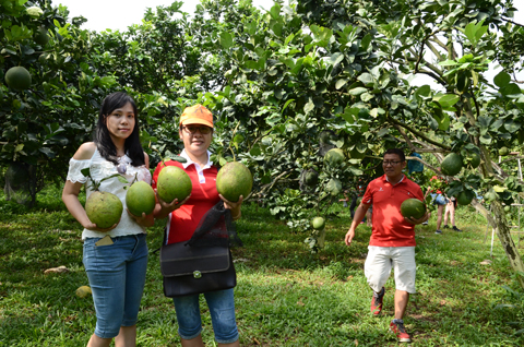 Nông dân kết hợp sản xuất với làm du lịch sinh thái - Báo Bà Rịa - Vũng Tàu điện tử
