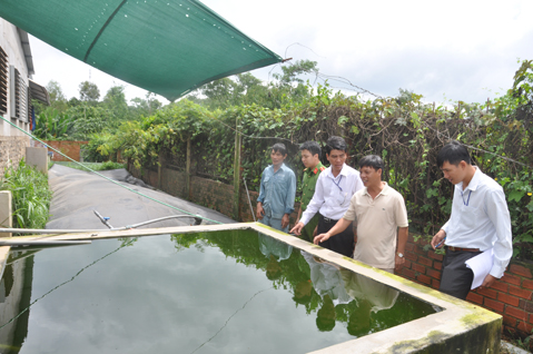 Kiểm tra trang trại nuôi heo đầu nguồn nước hồ Đá Đen - Báo Bà Rịa - Vũng Tàu điện tử